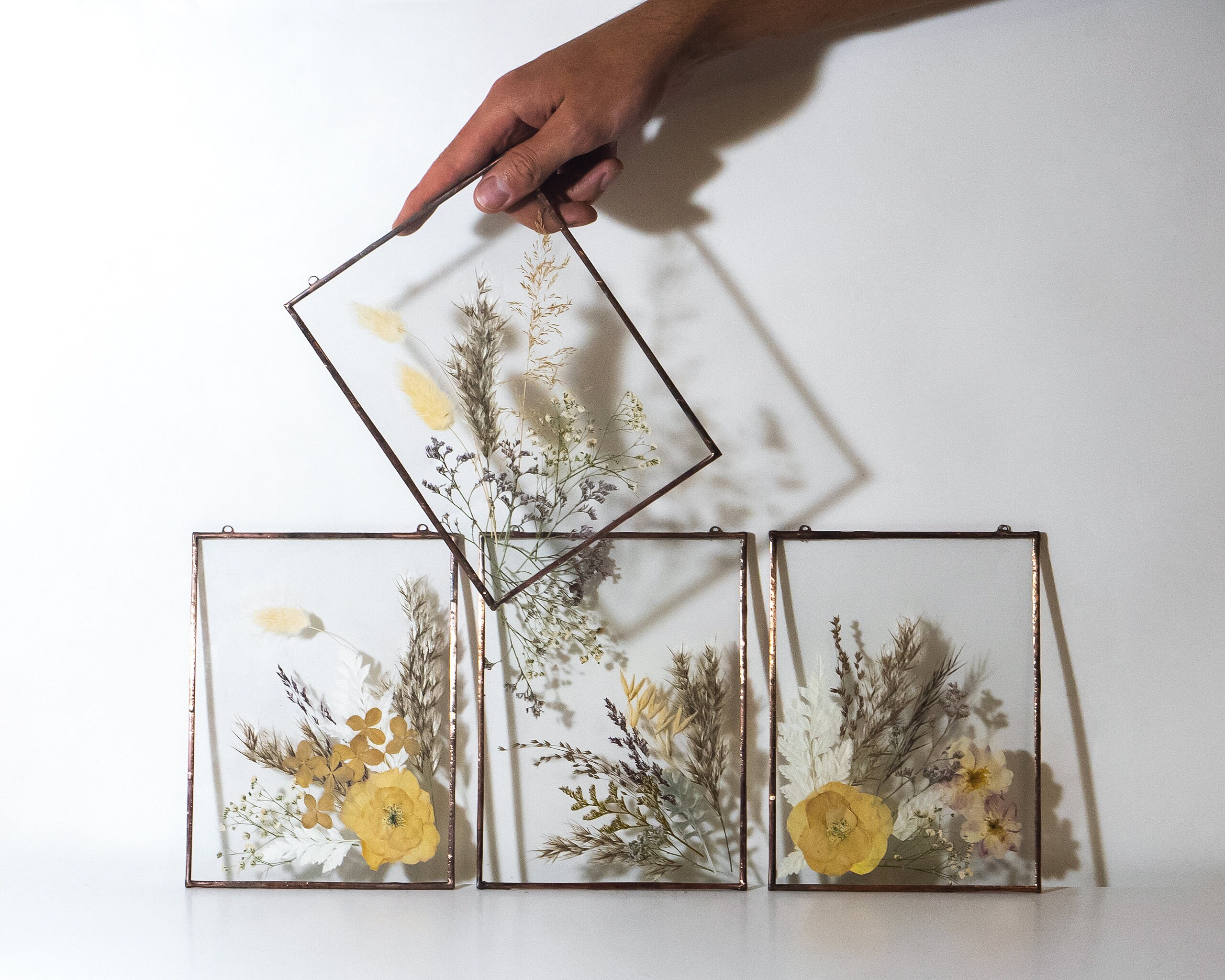 Herbarium Set of 4 Pressed Flower Frame Botanical Art Collage | Etsy UK