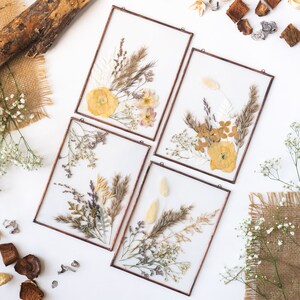 Herbarium Set of 4 Pressed Flower Frame Botanical Art Collage | Etsy UK