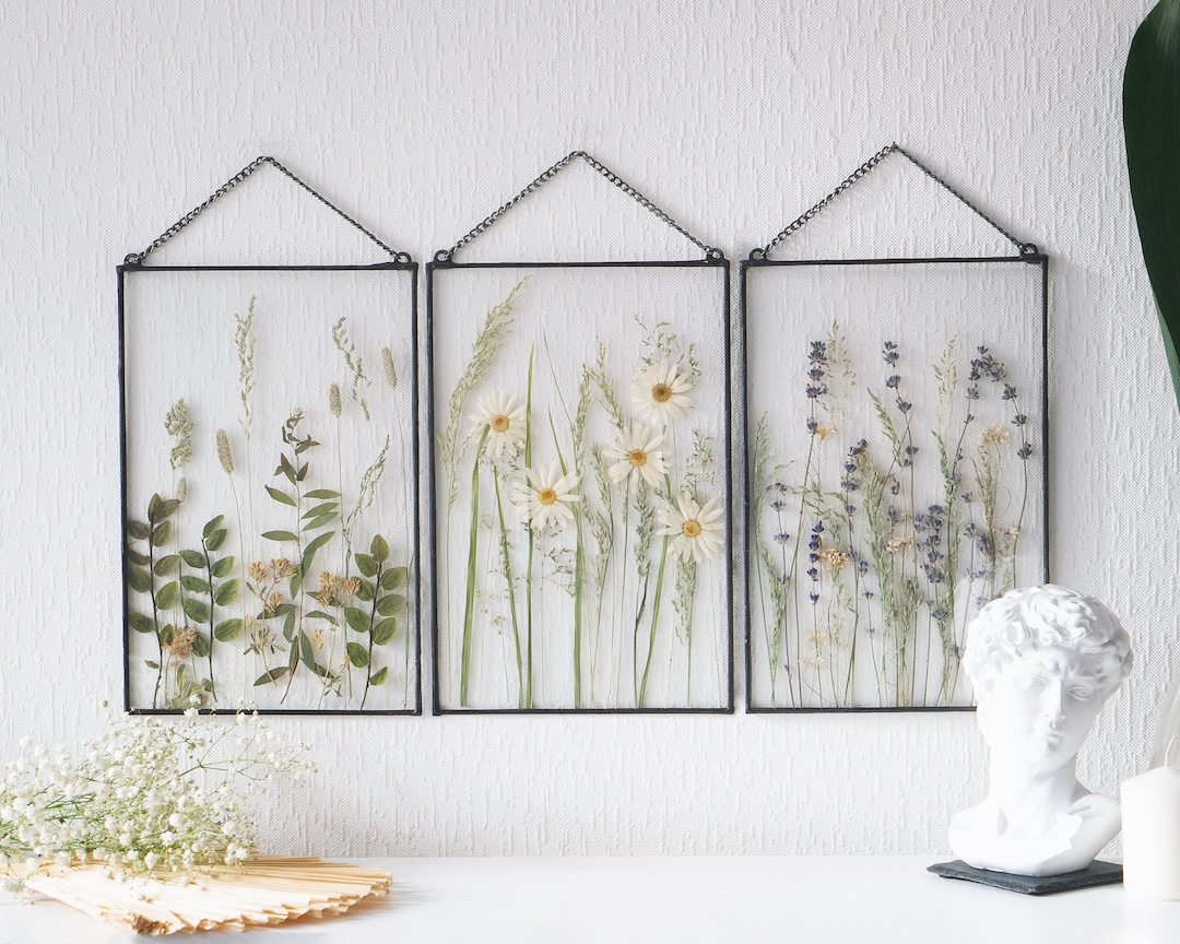 Framed Wall Art Set of 3 Pressed Flower Frame Hanging Floral Décor 812 ...
