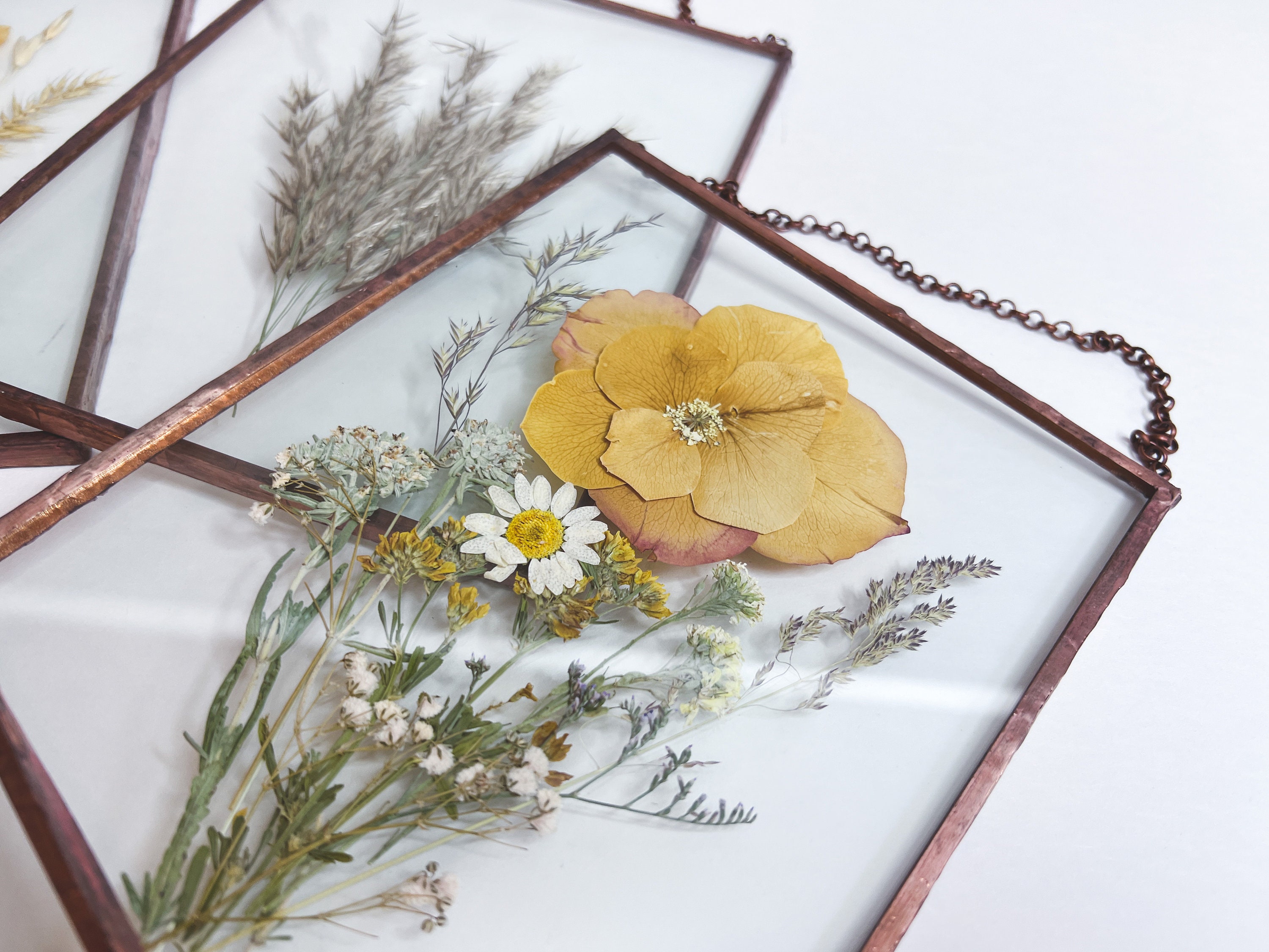 Herbarium Set of 4 Pressed Flower Frame Botanical Art Collage - Etsy UK