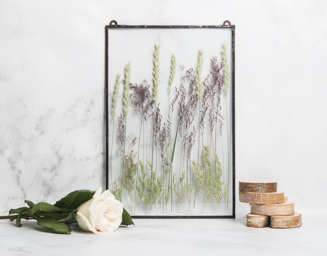 Pressed Wild Grasses in Glass | Botanical Wall Art | Real Dried Grass ...