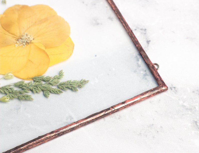 Herbarium set of 4 pressed flower frame botanical art | Etsy