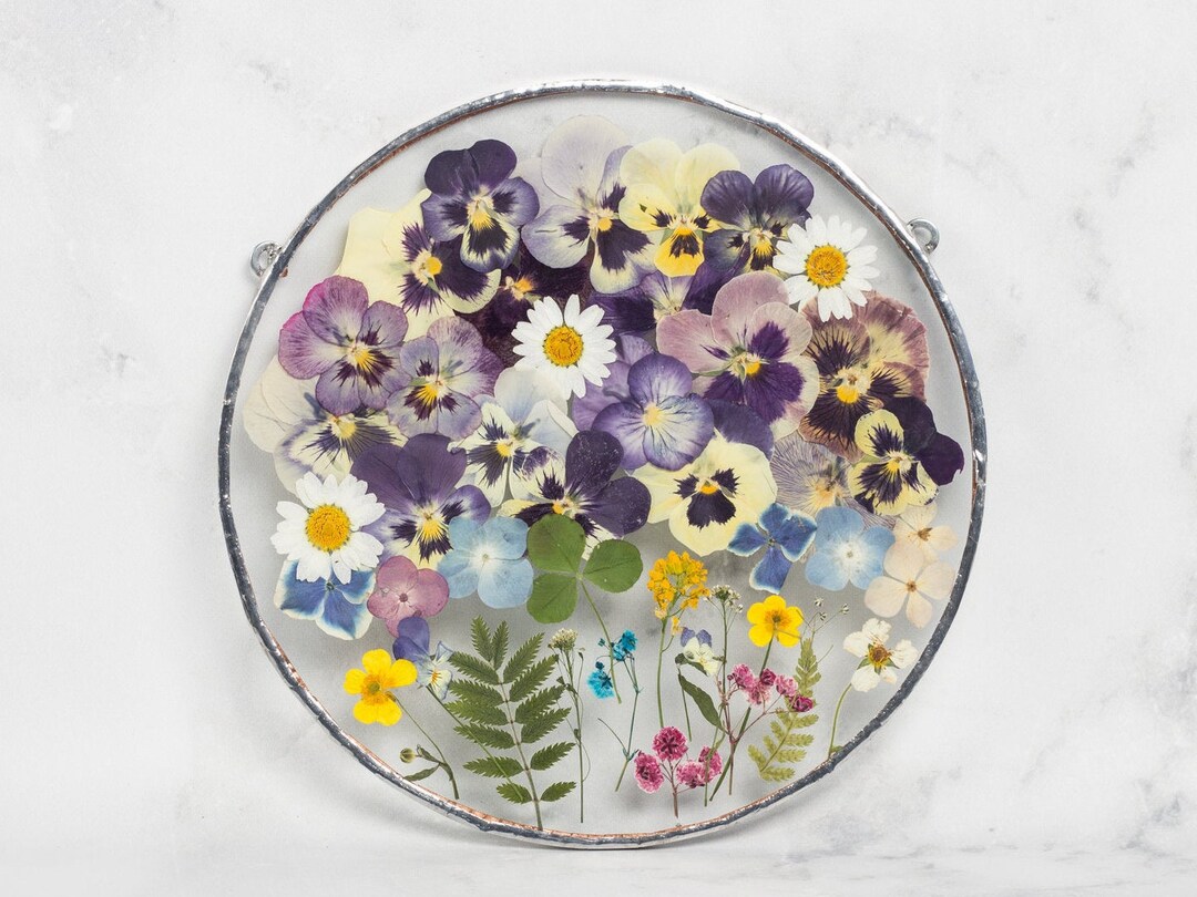 Pressed Pansy Art Pressed Pansies Pressed Flowers Framed Gift - Etsy