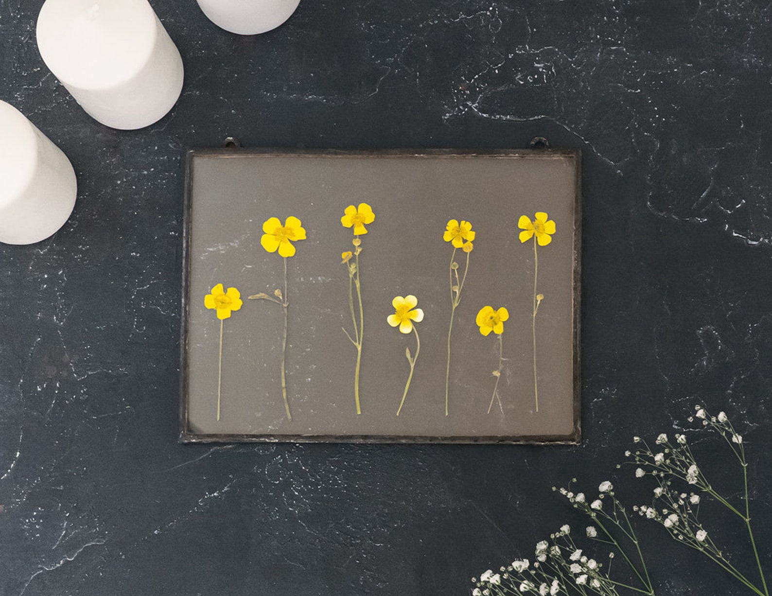 Pressed Flower Frame Dry Flower Frame Botanical Art - Etsy
