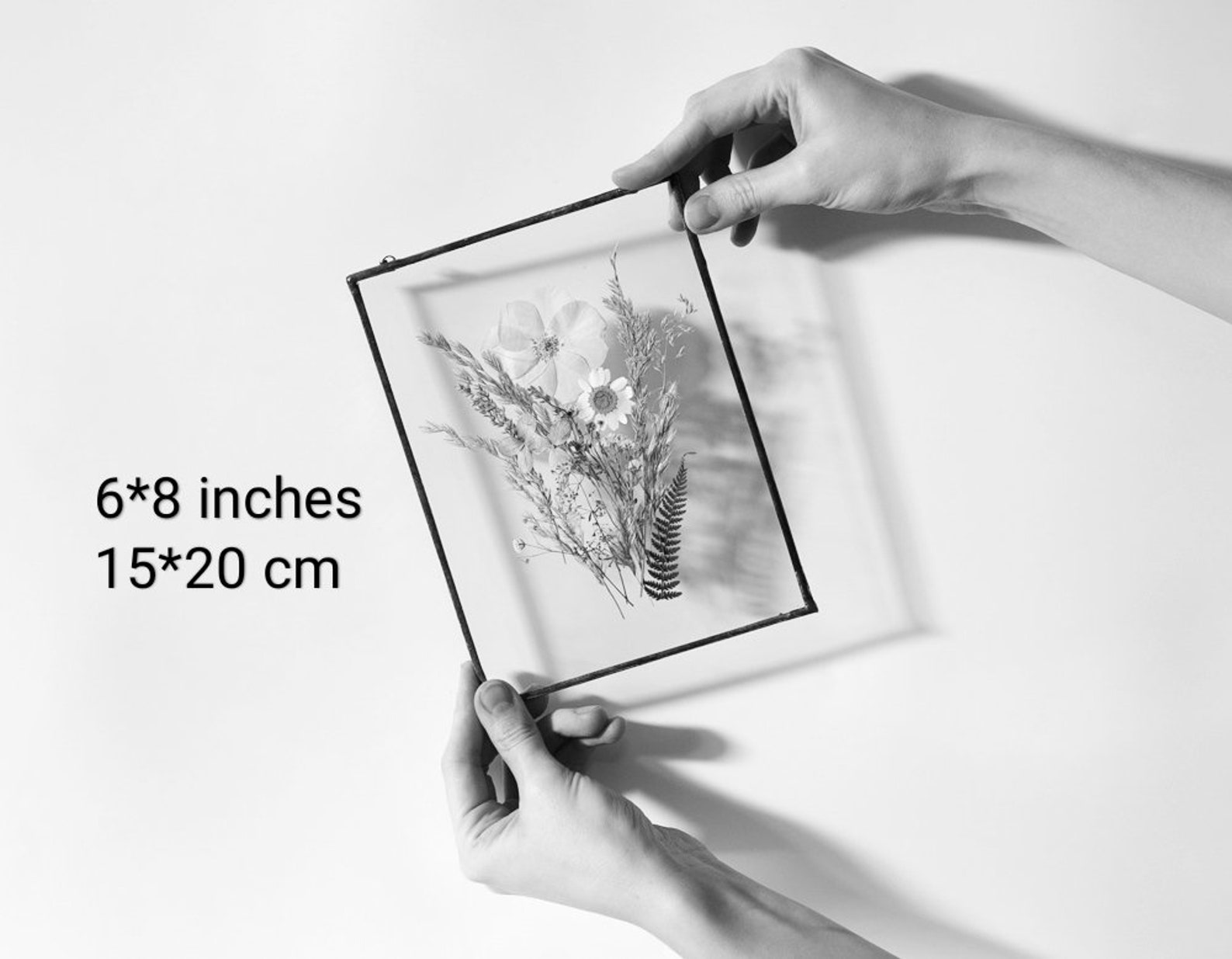 Herbarium Set of 4 Pressed Flower Frame Botanical Art Collage - Etsy