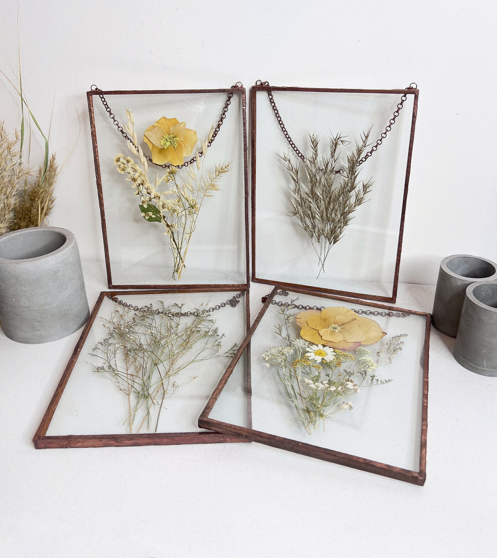Herbarium Set of 4 Pressed Flower Frame Botanical Art Collage - Etsy UK