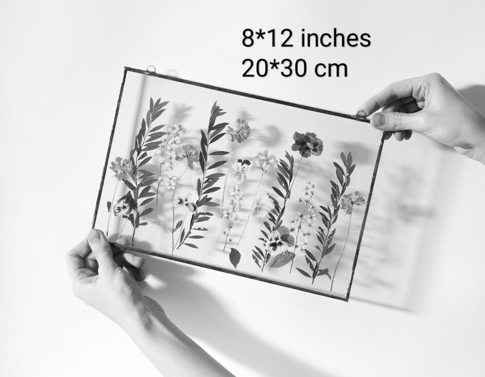 3 Piece Wall Art Pressed Daisy Art Chamomile Wall Art Pressed - Etsy