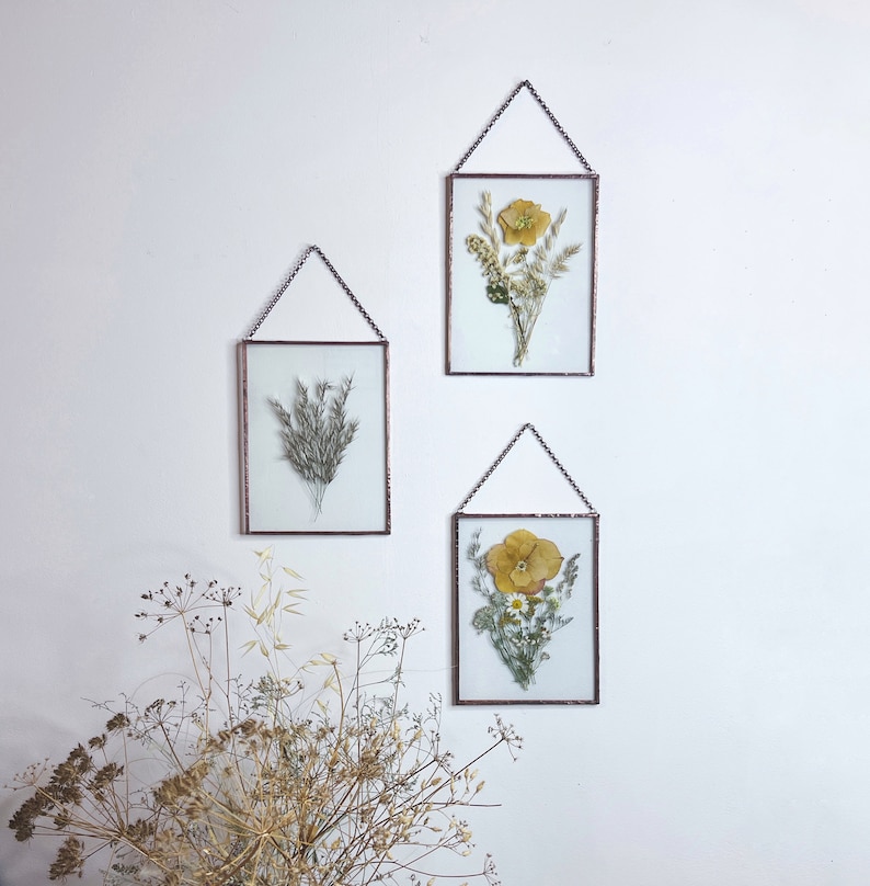 Herbarium Set of 4 Pressed Flower Frame Botanical Art Collage - Etsy