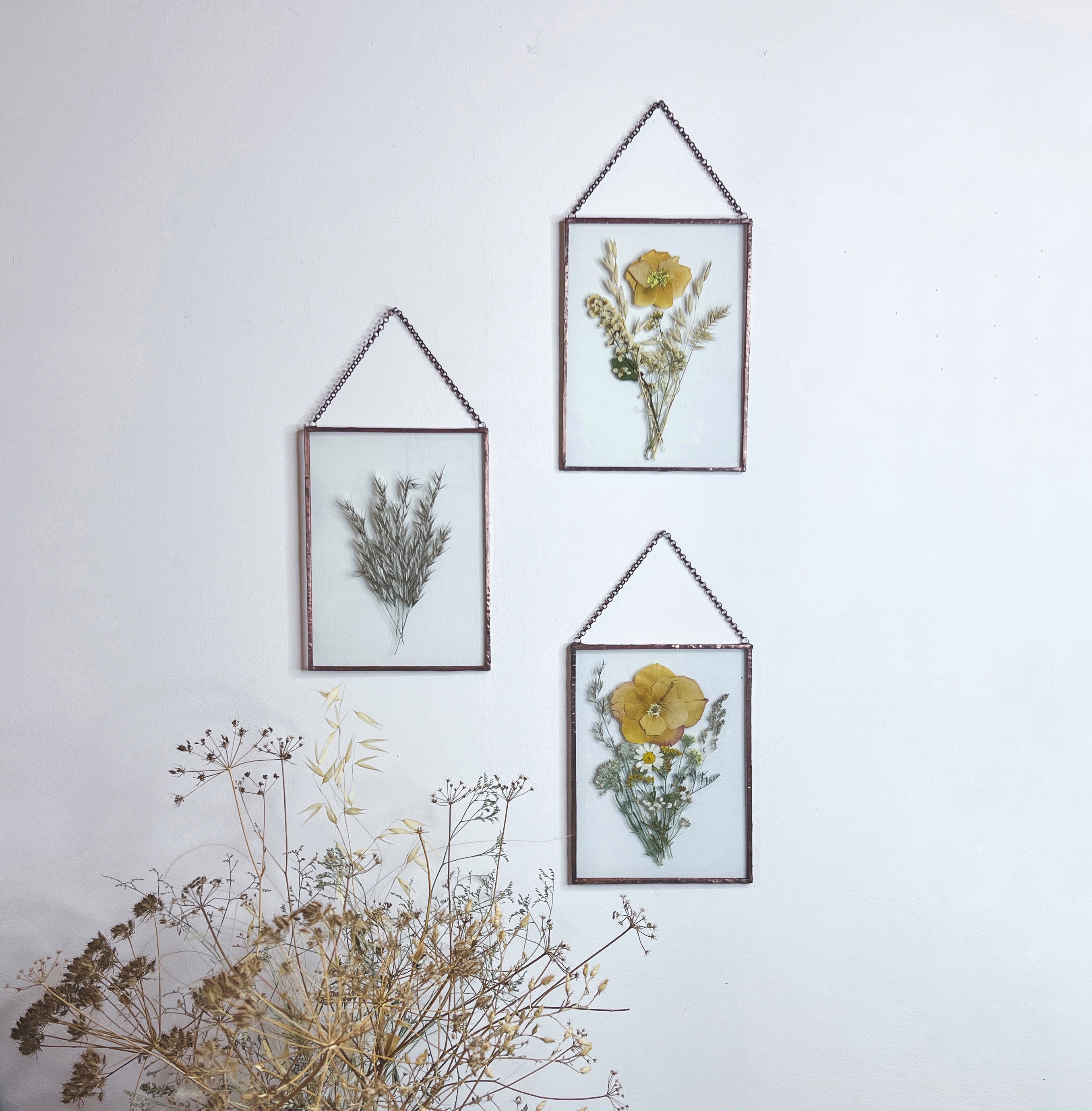 Herbarium Set of 4 Pressed Flower Frame Botanical Art Collage - Etsy UK
