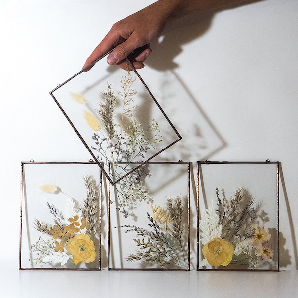 Herbarium Frame - Etsy