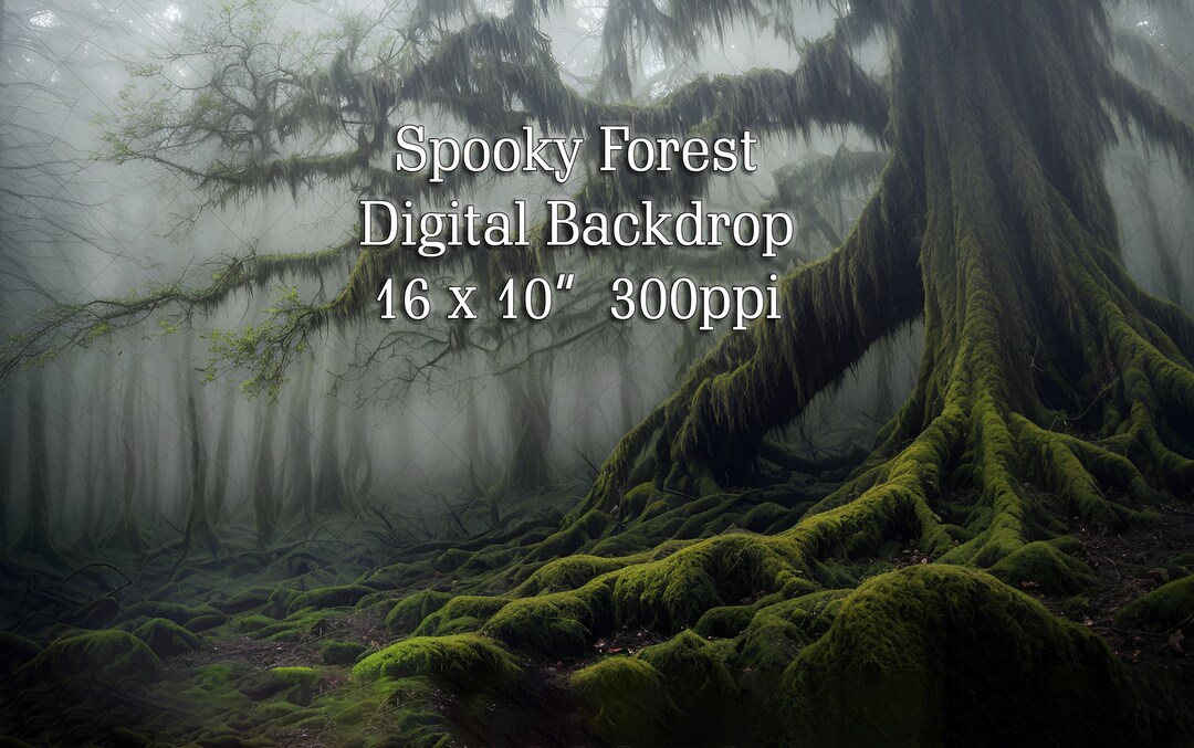 Spooky Forest Digital Backdrop - Mossy Tree - Foggy Gloomy Forest - for ...