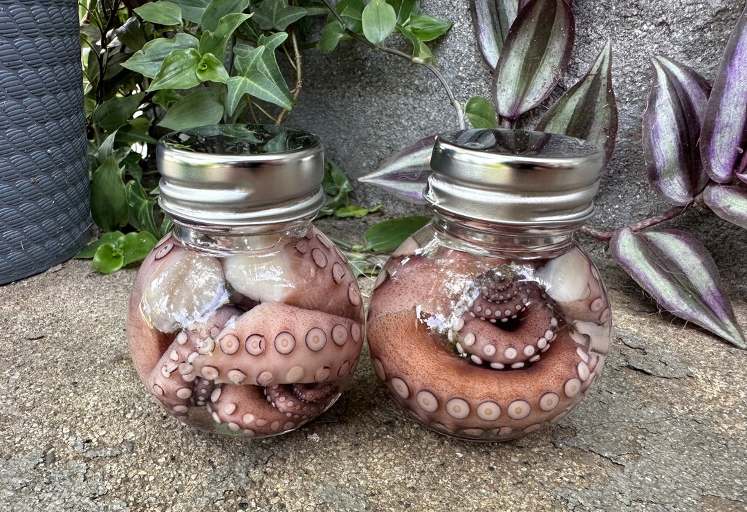 Wet Specimen Octopus Tentacles in Glass Jar - Etsy