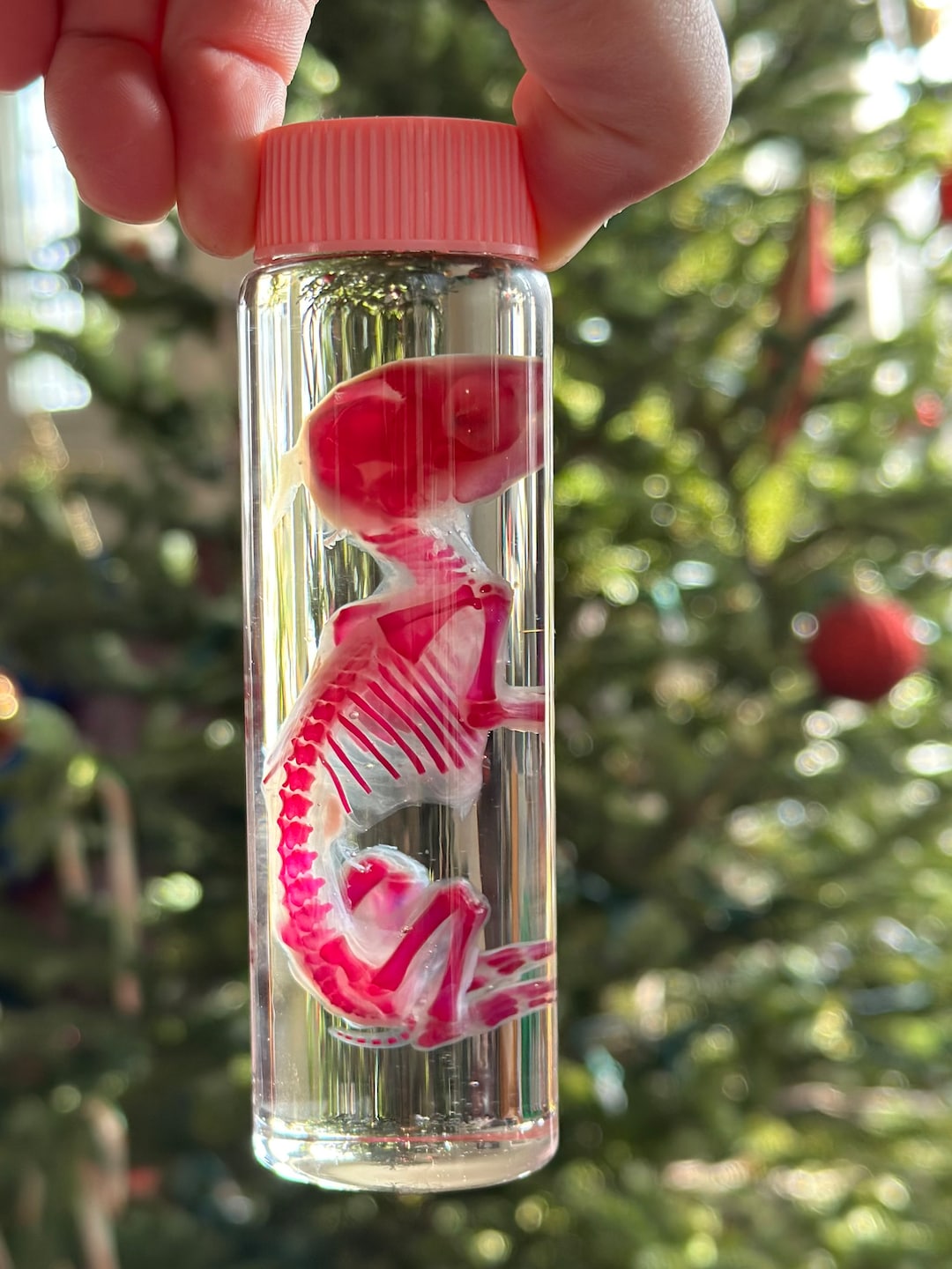 Diaphonized Baby Rabbit Kit - Etsy