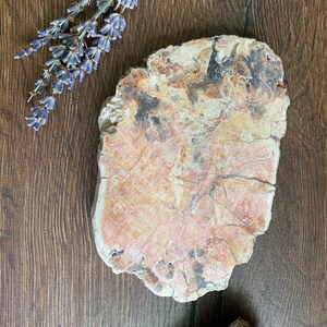 Pink Petrified Wood Slab - Etsy