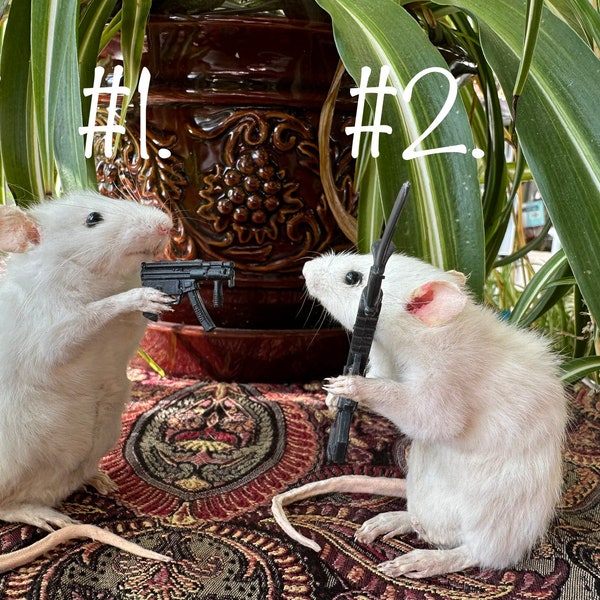 Taxidermy Rat - Etsy