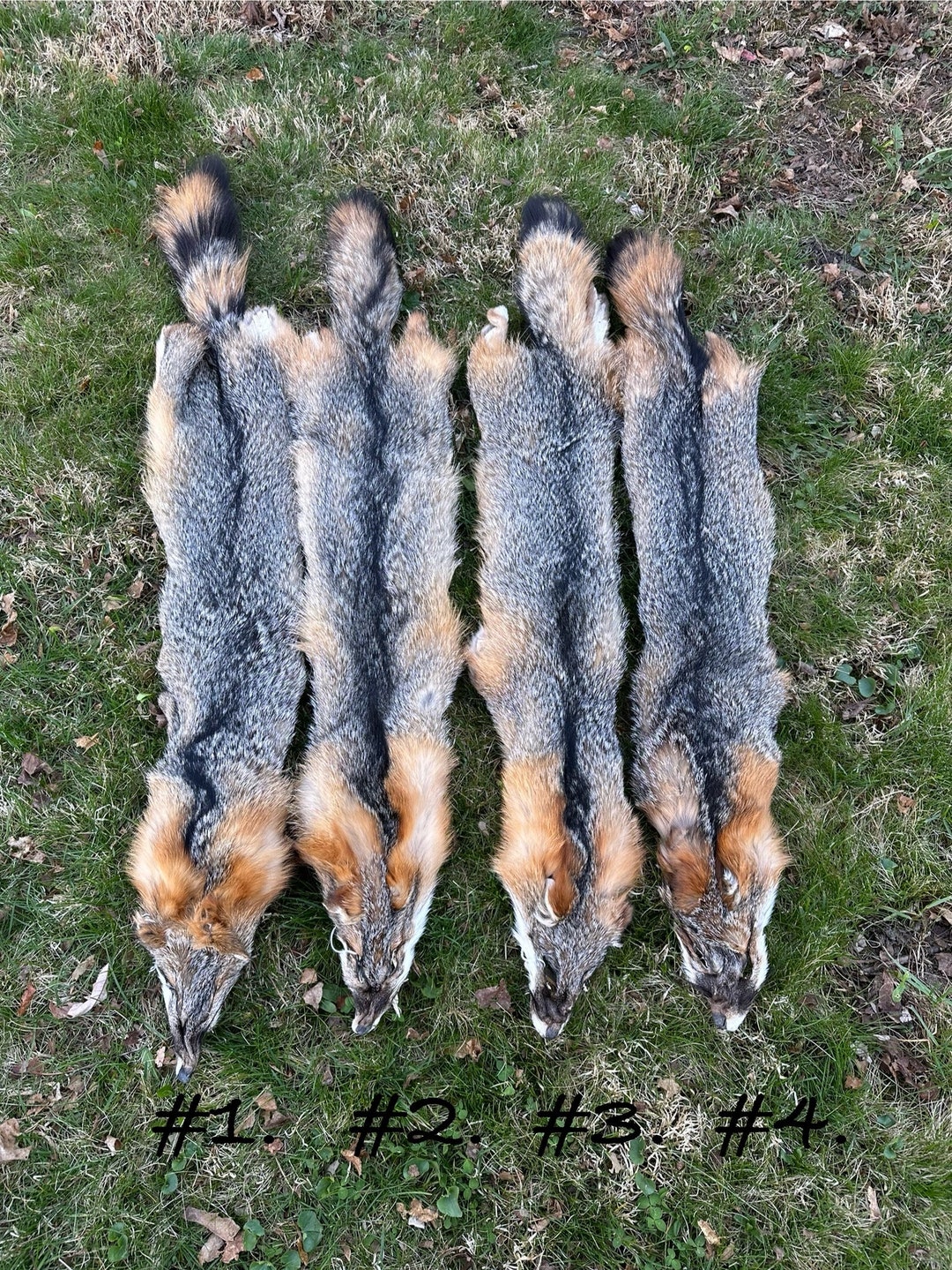 Grey Fox Pelt Fur - Etsy