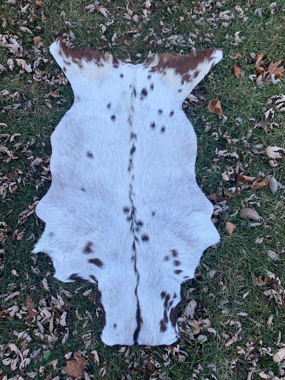 Goat Rug 43x25 - Etsy