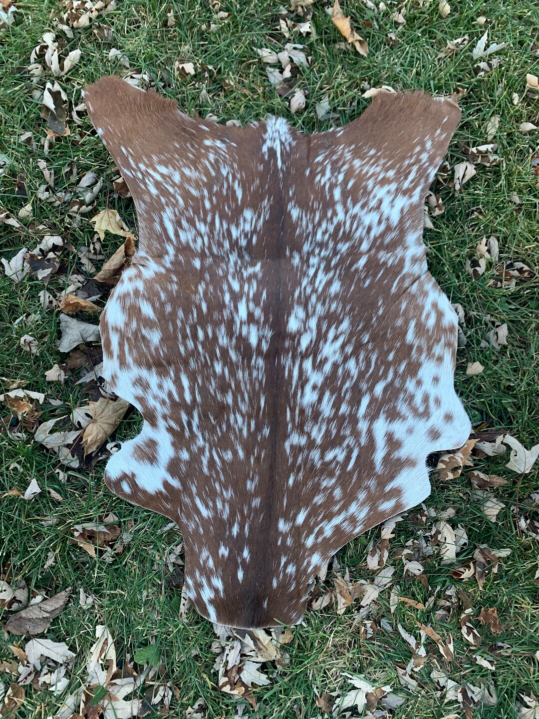 Goat Rug 32x19 - Etsy