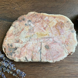 Pink Petrified Wood Slab - Etsy