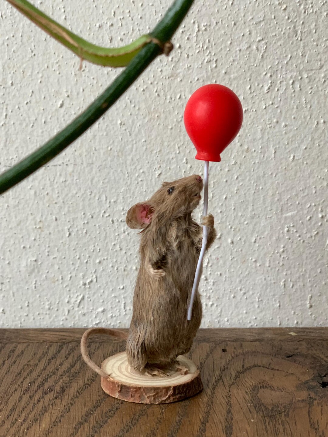 Small Taxidermy Mouse With Red Balloon - Etsy