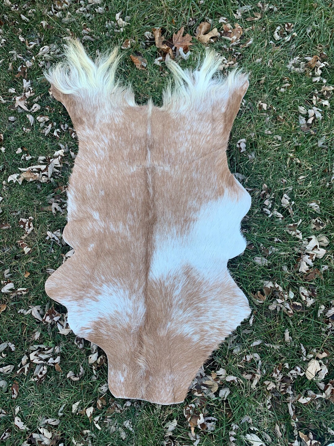 Goat Rug 39x22 - Etsy