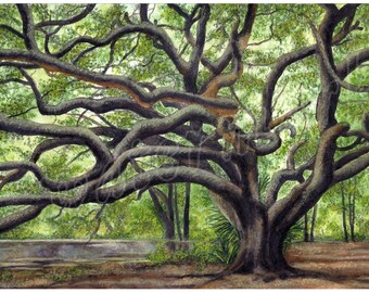Oak Tree Watercolor Print - Etsy