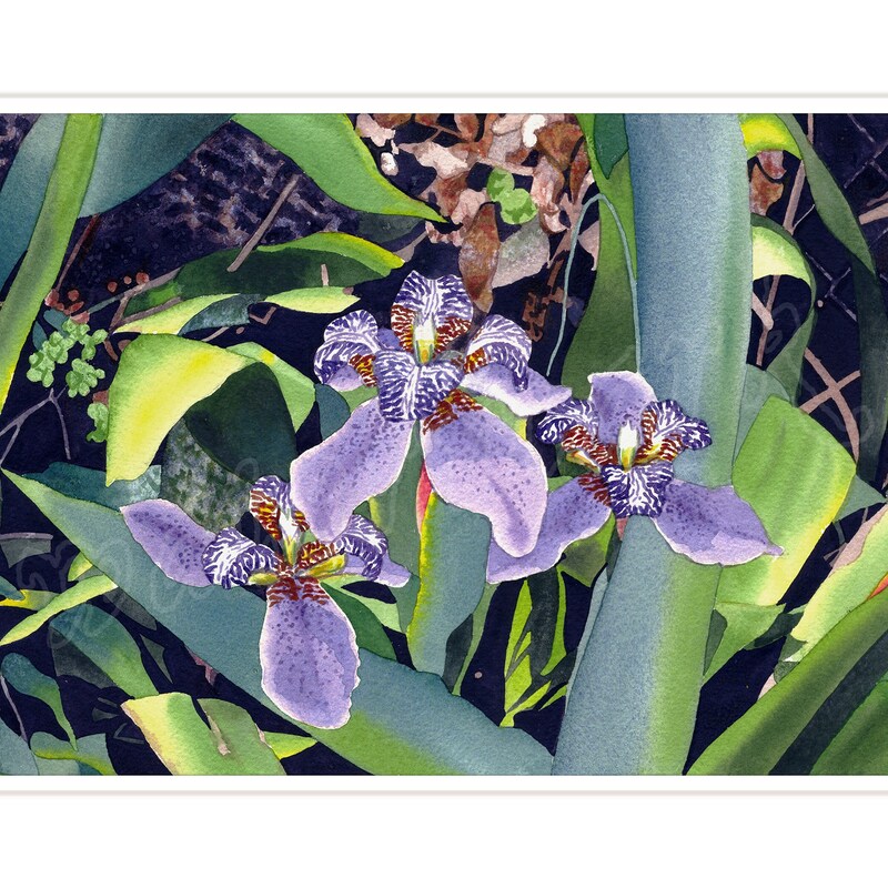 Walking Iris - Etsy