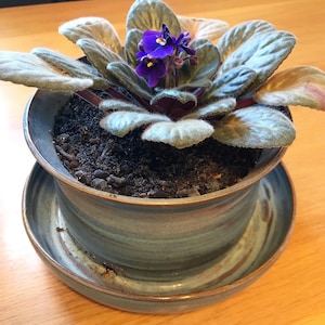 SMALL African Violet Pot, Made to Order Small/starter Self Watering ...