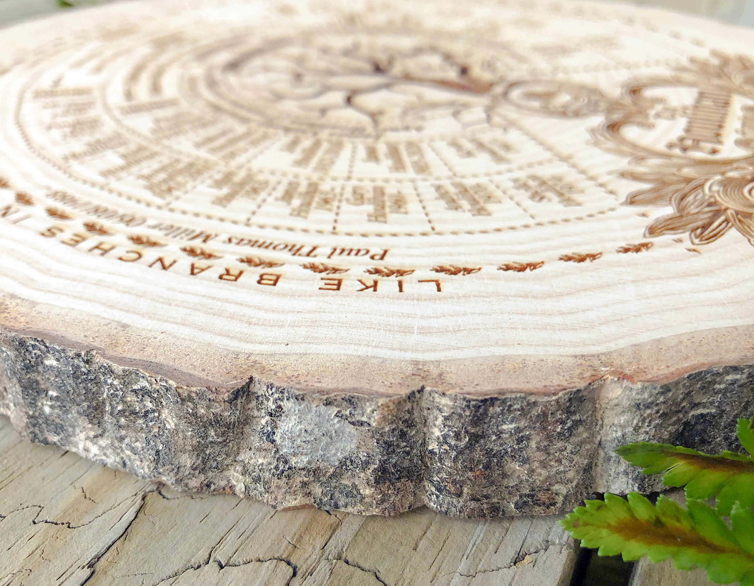 Family Tree Art Engraved on Natural Wood %100 Customizable - Etsy Australia
