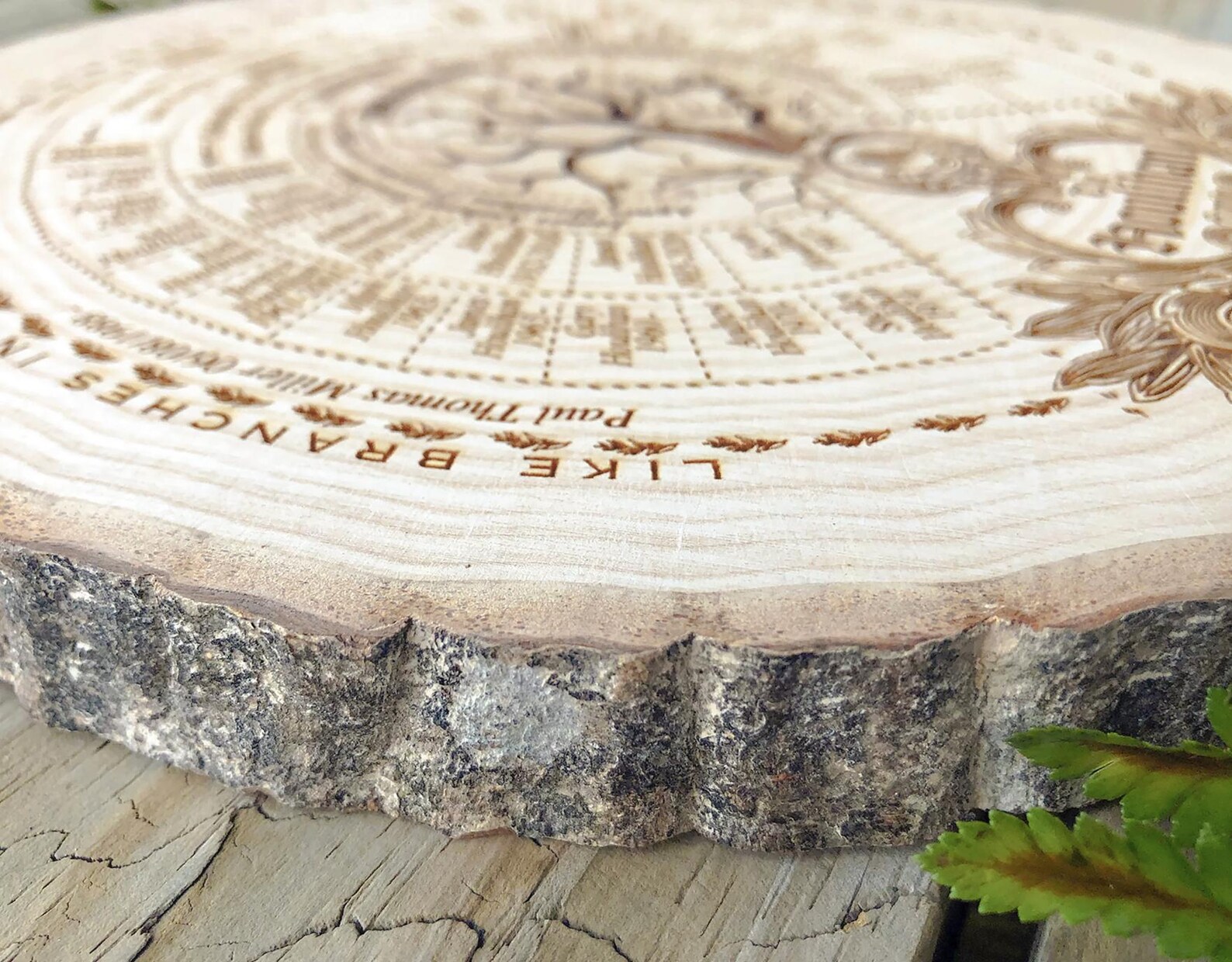 Rustic Family Tree Art on Wood, Engraved Personalized Genealogy Chart ...