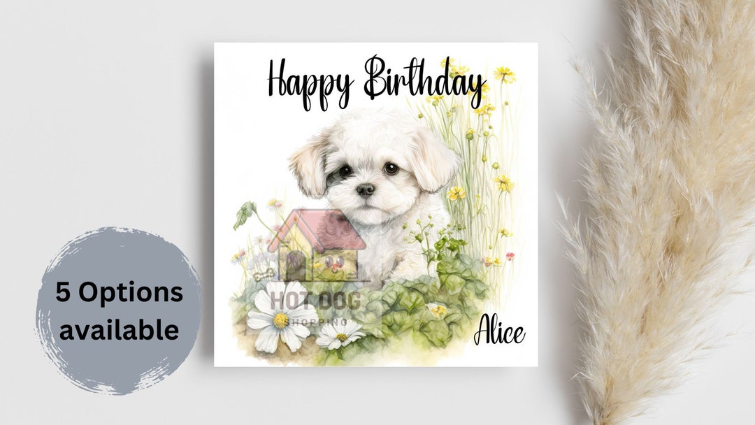 Maltese Poodle Puppy Greeting Card - Etsy