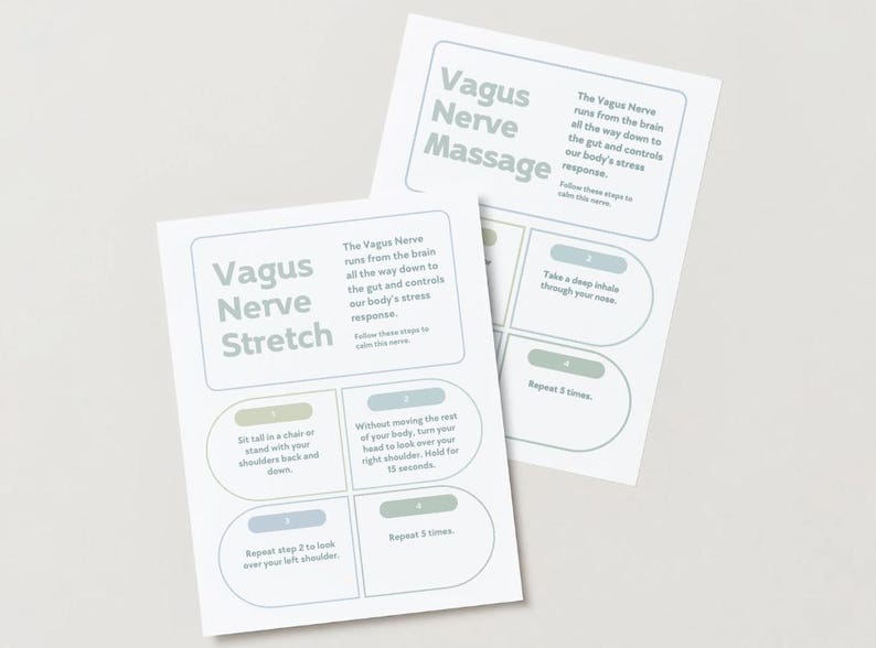 Nervous System Regulation Cards - Coping Skills Anxiety, Somatic ...