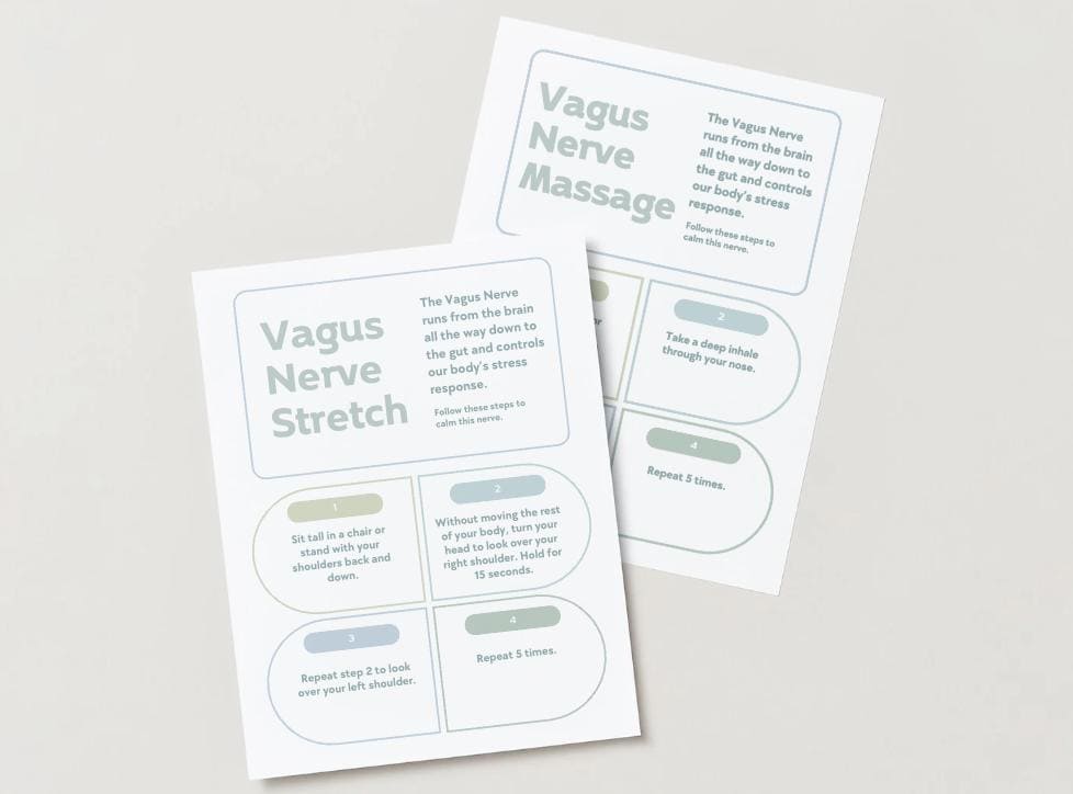 Nervous System Regulation Cards - Coping Skills Anxiety, Somatic ...