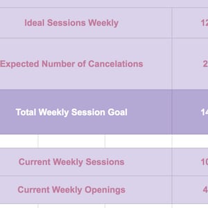 Therapist Caseload Tracker | Session Management Tool | Small Business ...