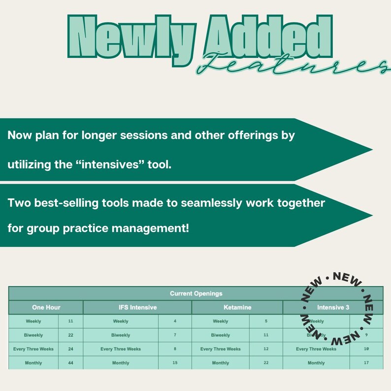 Therapy Group Practice Caseload Tracker: Google Sheets Template ...