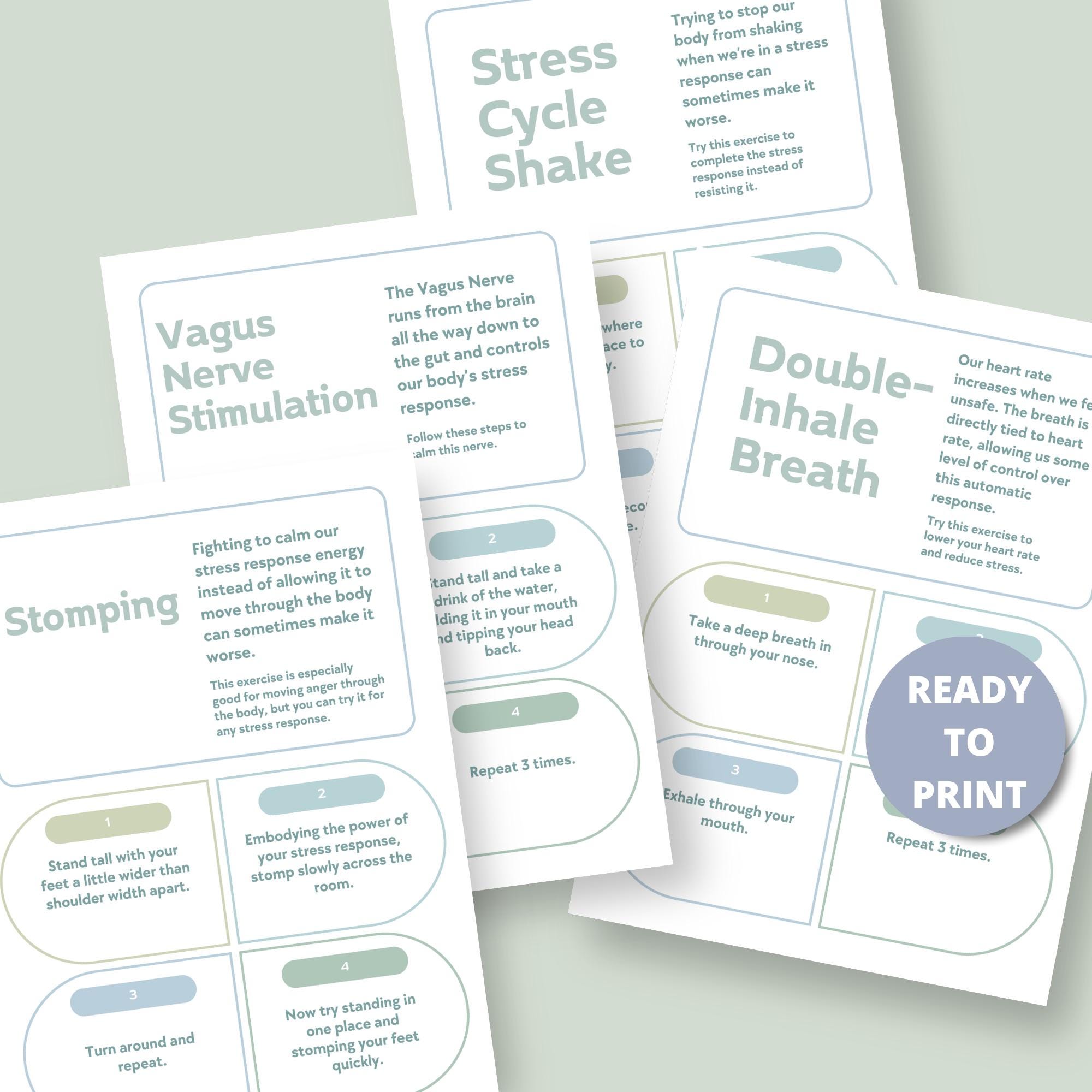 Nervous System Regulation Cards - Coping Skills Anxiety, Somatic ...