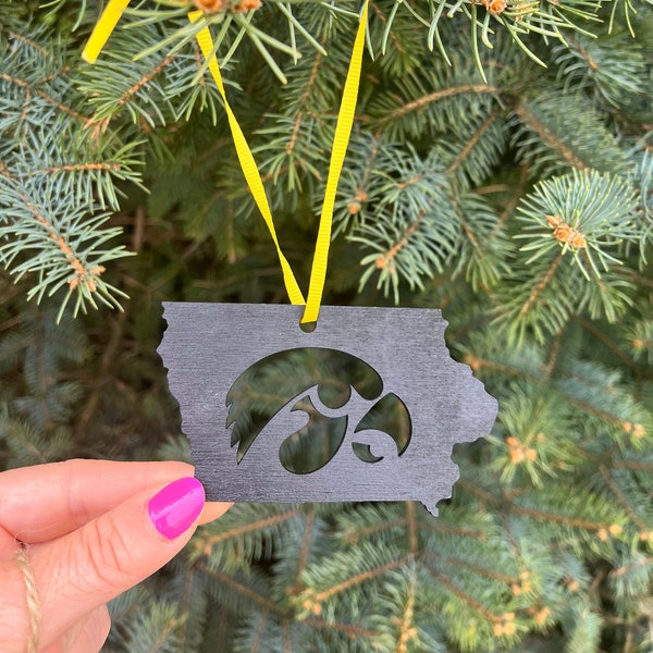 Iowa Hawkeye Decor - Etsy