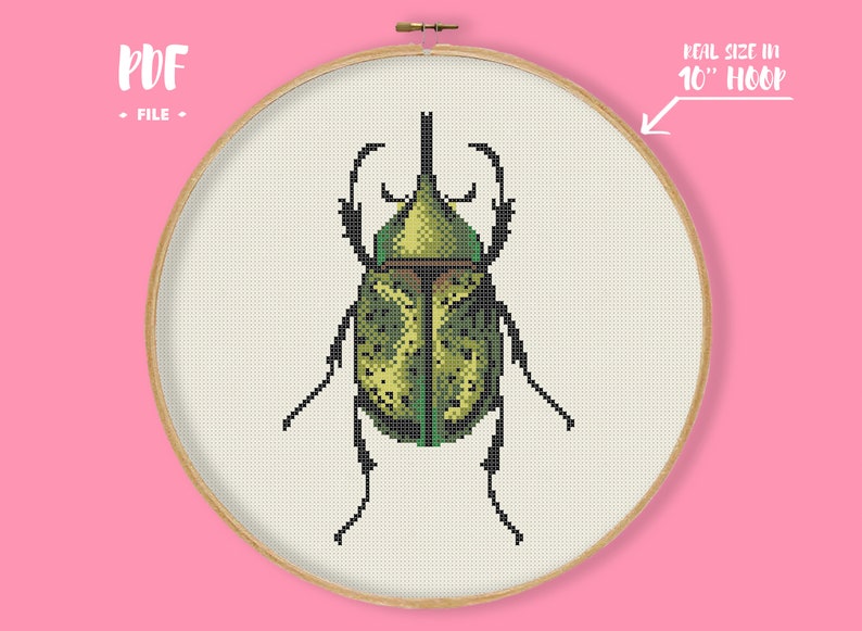 Beetle 3 Cross Stitch Pattern Insect Embroidery Bug - Etsy