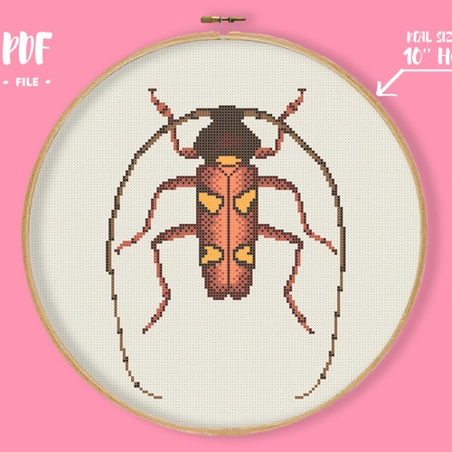 Beetle 3 Cross Stitch Pattern Insect Embroidery Bug - Etsy