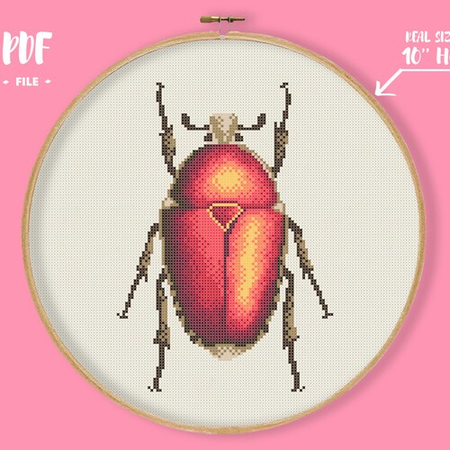 Beetle 2 Cross Stitch Pattern Insect Embroidery Bug - Etsy