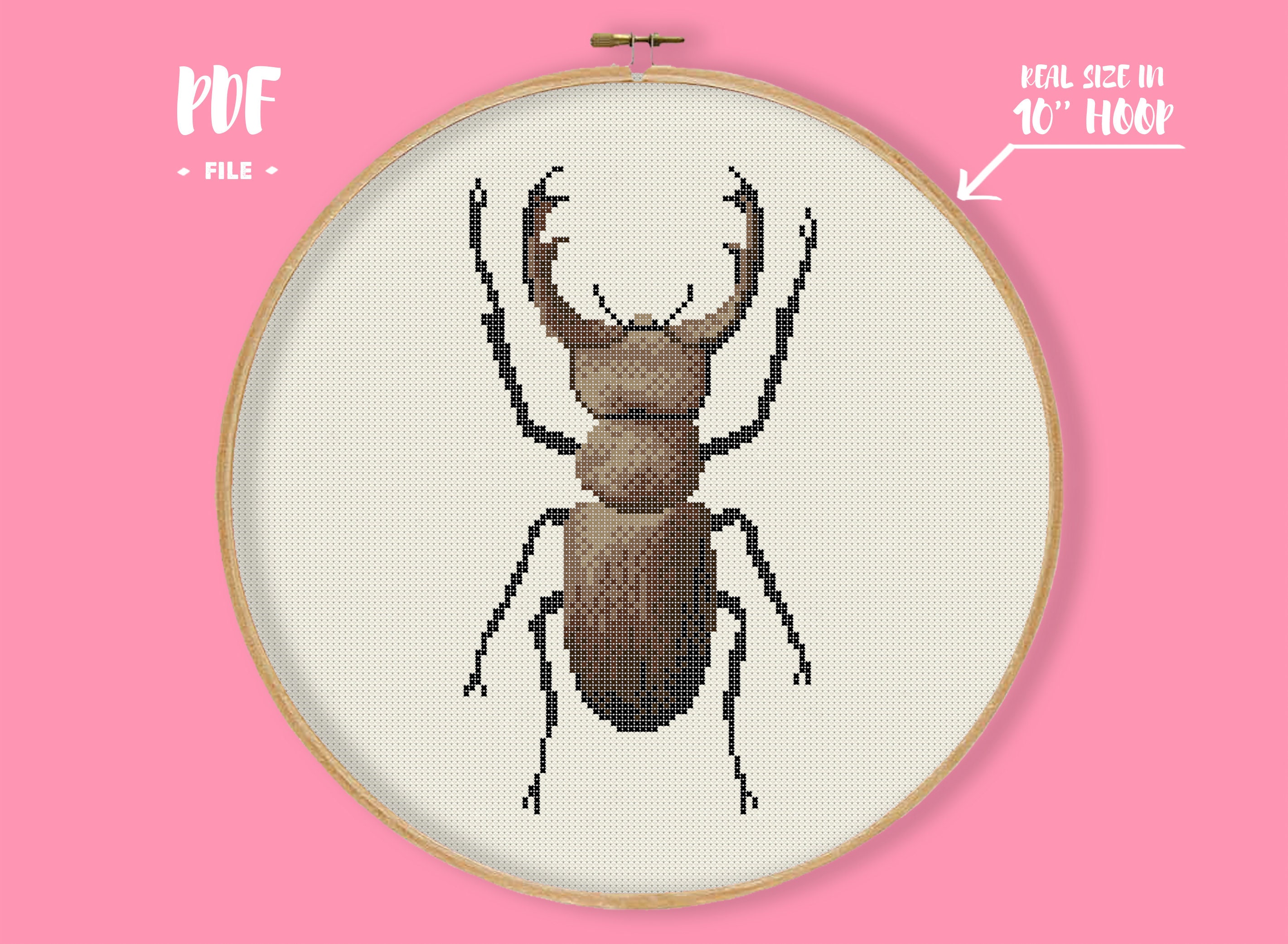 Beetle 2 Cross Stitch Pattern Insect Embroidery Bug - Etsy