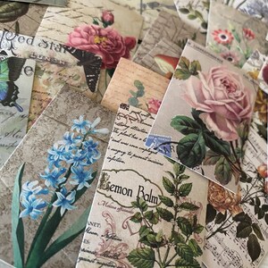 100pcs Botanical Collage Paper Decorative for Journal Ephemera ...