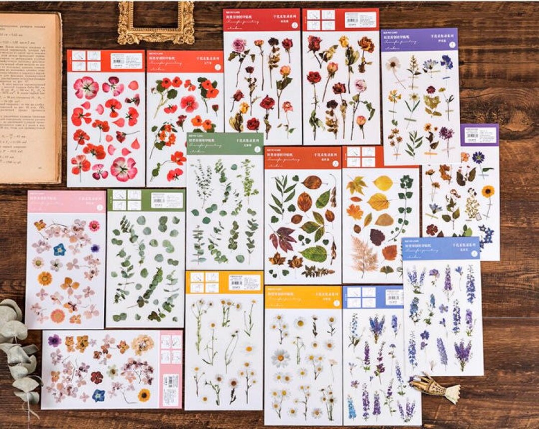 2 Sheets Watercolour Rub-on Sticker, Dried Flowers Transfer Sticker ...
