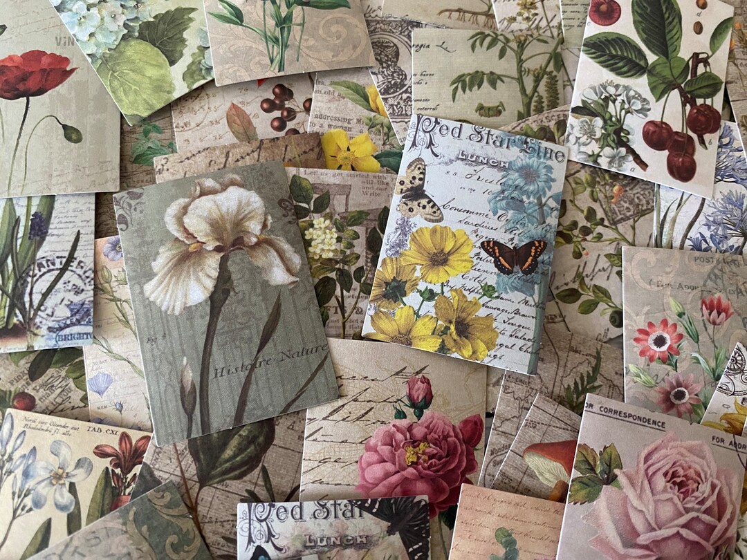 100pcs Botanical Collage Paper Decorative for Journal Ephemera ...