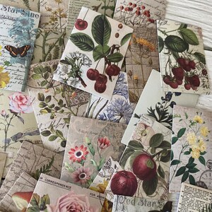 100pcs Botanical Collage Paper Decorative for Journal Ephemera ...