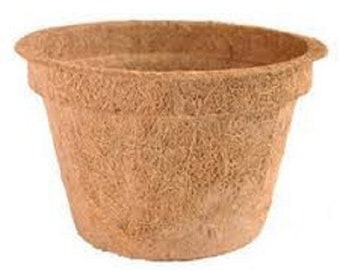 Coconut Plant Pot - Etsy