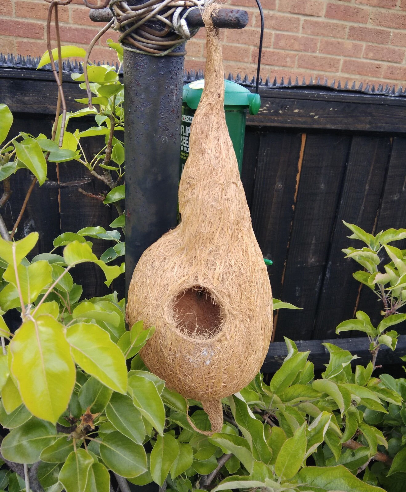 Coconut Coir Bird Nesting for Small Birds Robins Small Animals Great ...