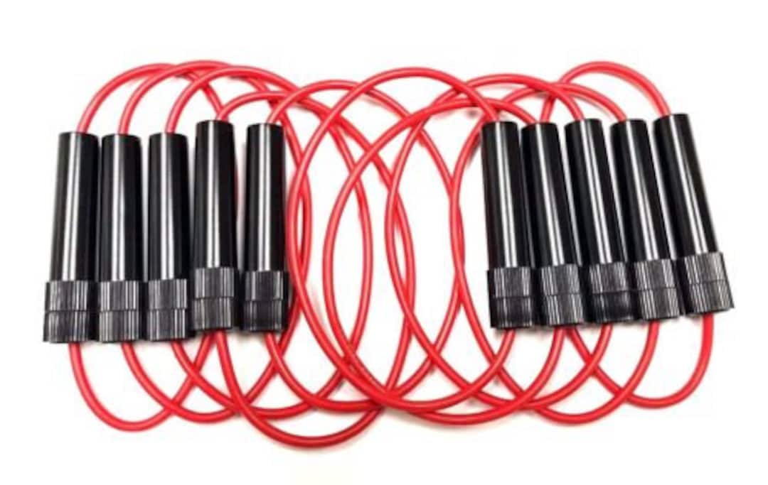 10 Pack AGC In-line Fuse Holder 10 12 14 16 18 AWG OFC Copper Wire ...
