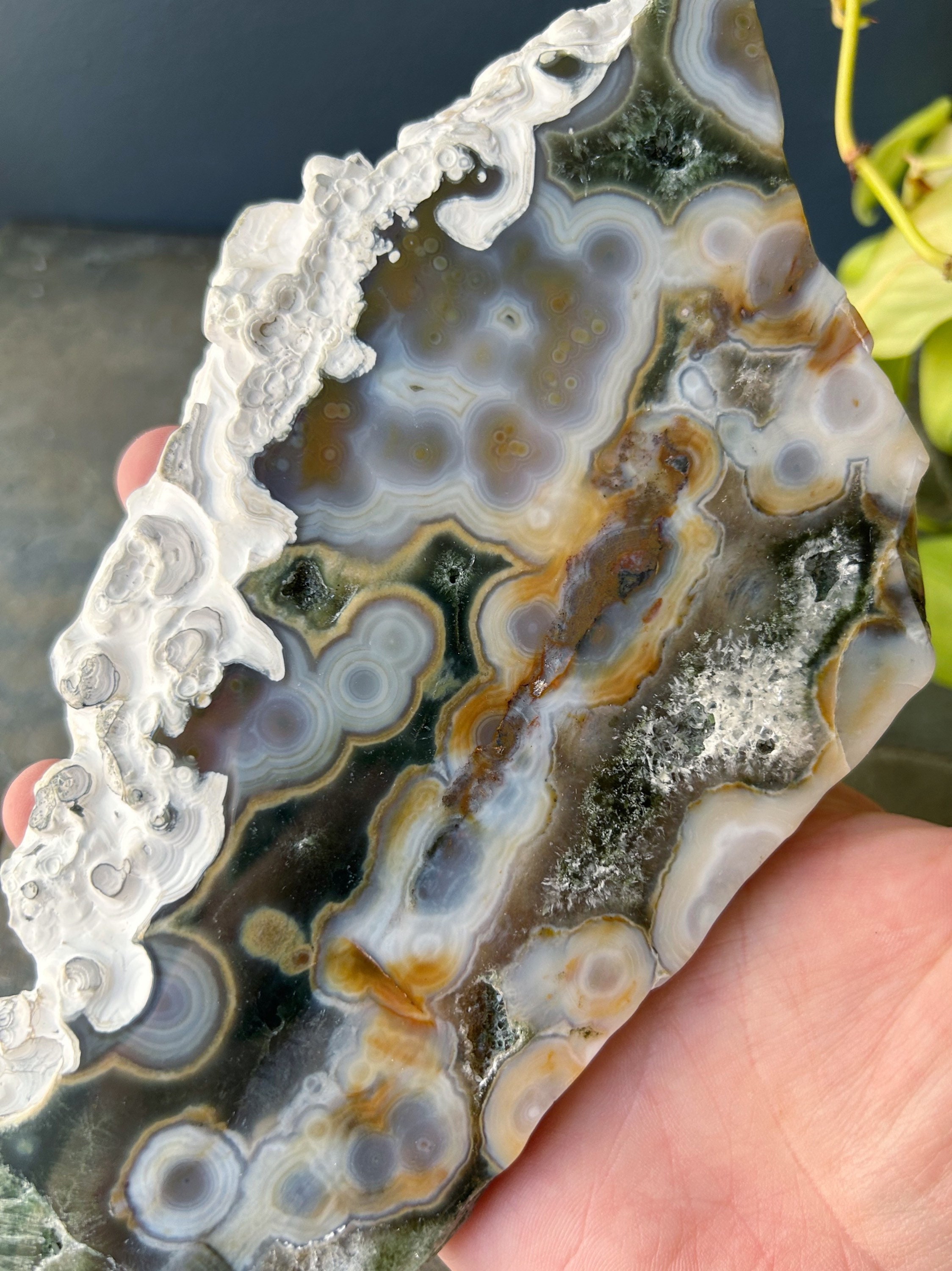 Ocean Jasper Slab Nice old Vein Old Stock Ocean Jasper. - Etsy