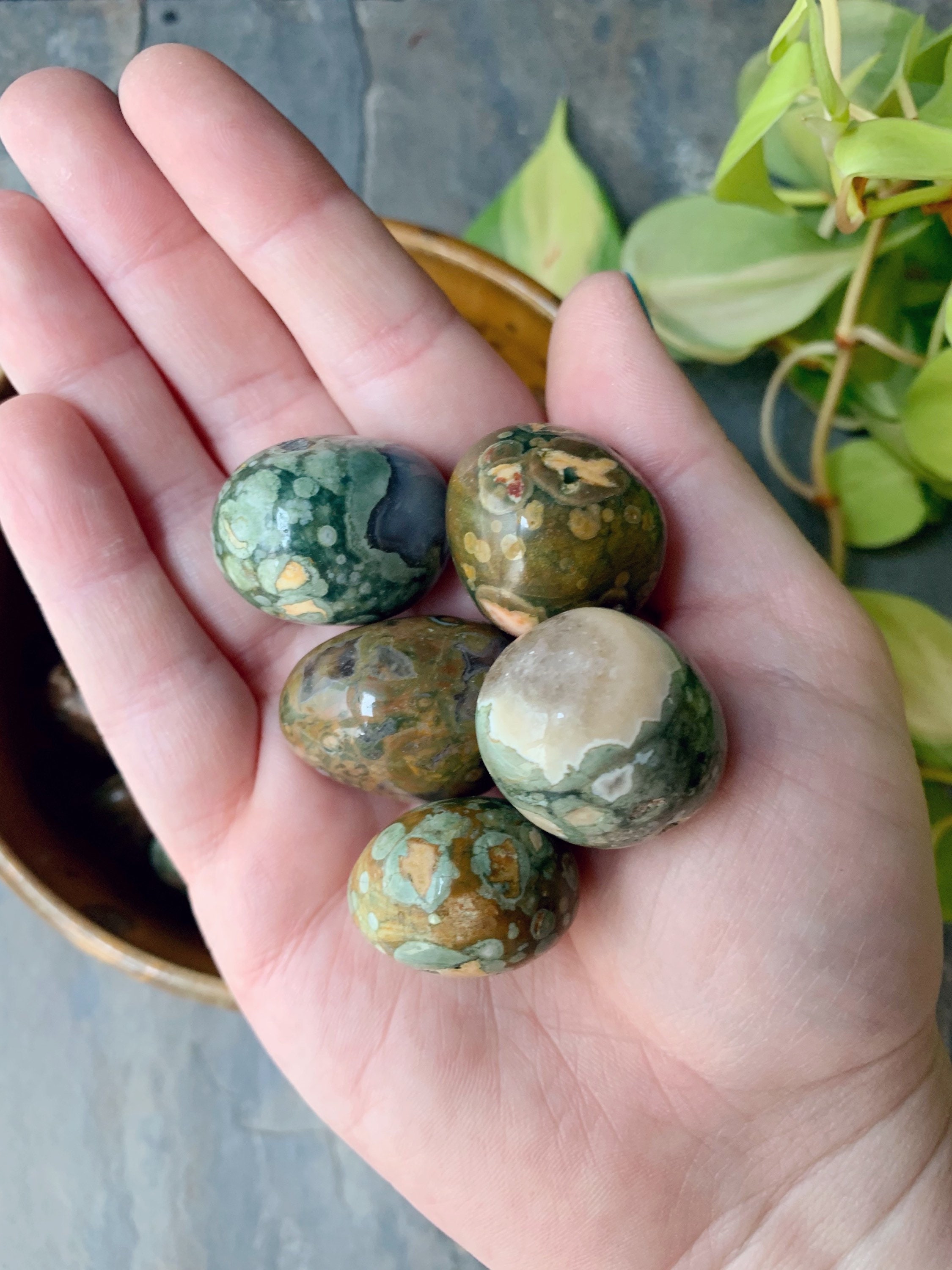 Rainforest Jasper/jungle Jasper Tumbles - Etsy